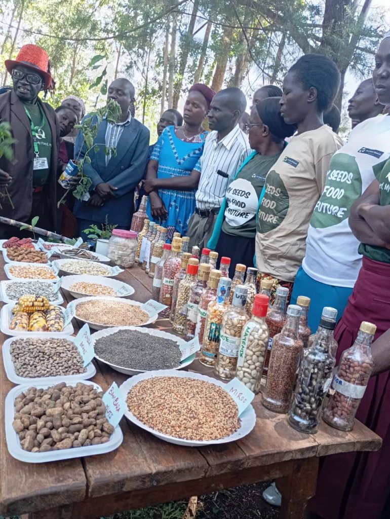 Kakamega gets first indigenous crops seed bank - Sacco Review | The ...