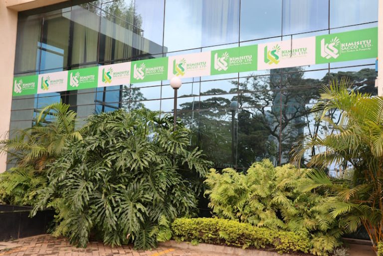 Kimisitu DT SACCO reports strong financial growth with assets up to ...