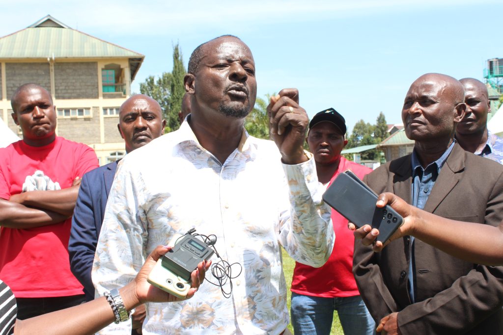 Macadamia traders accuse government of neglect as farmers count losses